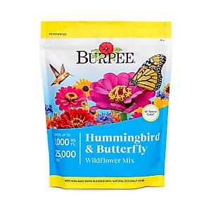 Burpee Wildflower 25,000 Bulk, 1 Bag 18 Varieties of Non-GMO Flower Seeds for Hummingbirds and Butterflies