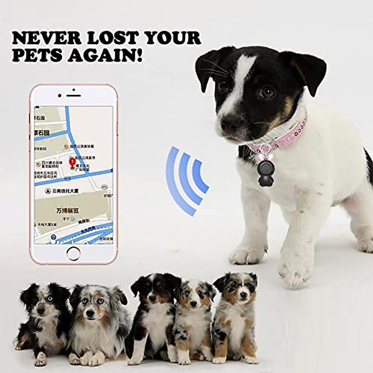 Portable Rabbit-Shape Locator Mini Anti-Loss Device Waterproof Bluetooth 5.0 Mobile Tracking Bluetooth GPS Locator for Pet Keychain Bag, Black, 1PC
