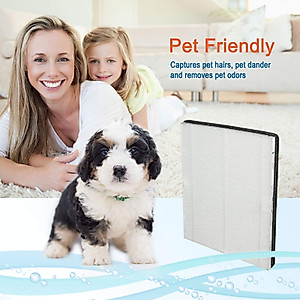 Flintar MD1-0022 True HEPA Replacement Filter, Compatible with Vornado Air Cleaner Purifier Model AC300, AC350, AC500, AC550, PCO200, PCO300, PCO375DC, PCO500 and PCO575DC (1-Pack)