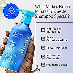 Eva NYC Brass to Sass Brunette Shampoo, Toning Blue Shampoo for Brunettes, Neutralizes Brassy Red and Orange Tones, Blue Shampoo for Color Treated Hair, 8.8 fl oz
