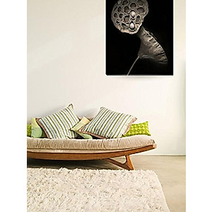Imagekind Wall Art Print Entitled Lotus Pods II by Dawn Leblanc | 16 x 21