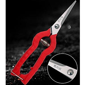Stainless Steel Pruning Shears 7.8 inch Fruit Trees Bonsai Sharp Garden Scissors Tool
