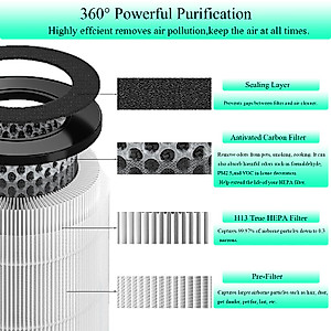AP-T40FL Replacement Filter,Compatible with Homedics Air Purifier AP-T40, AP-T40WT, AP-T45-BK and AP-T45-WT,Total Clean 3-in-1 H13 True HEPA Replacement Filter 1Pack,Costco Model 1461901