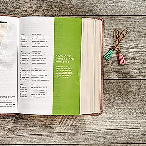 CSB She Reads Truth Bible, Rose Gold LeatherTouch, Black Letter, Full-Color Design, Wide Margins, Journaling Space, Devotionals, Reading Plans, Single-Column, Easy-to-Read Bible Serif Type