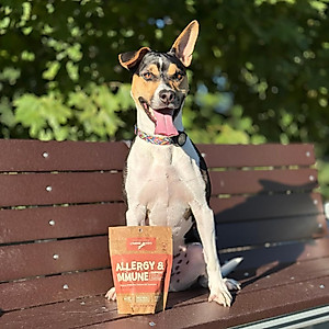 Canine Keeps Dog Allergy Chews - Itch Relief for Dogs – Omega 3 Salmon Fish Oil, Probiotics & Quercetin - Immune Support & Dog Allergy Relief Chews – Digestion + Skin & Coat Health - 90 Ct.