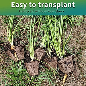 200Cells Seedling Start Trays with Drain Holes,20pcs Peat Pots Seedling Pots Biodegradable,Seedling Starter Kit,Organic Germination Plant Starter Trays(200xLabels,2xTransplant Tools,1xSpray Bottle)