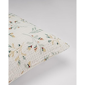 Blissful Diary Toddler Pillow with Muslin Cotton Pillowcase, 13x18 Kids Pillows for Sleeping and Traveling, Crib Pillow, Small Pillow for Kids, Toddler Bed Pillows (Botanical Leaf)