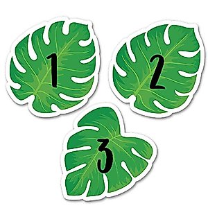 Creative Teaching Press Palm Paradise Monstera Leaves Calendar Days (10251)