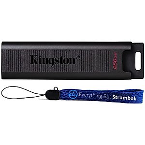 Kingston 256GB Flash Drive DataTraveler Max USB 3.2 High Speed 1000MB/s USB Type-C for Computer (DTMAX/256GB) Bundle with 1 Everything But Stromboli Lanyard