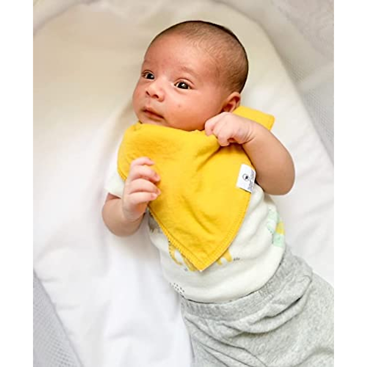 Diaper Squad 100% Organic Cotton Earthy Solid 10-Pack Baby Drool Bandana Bibs for Boys and Girls, Plain Colors