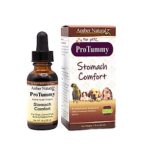 Amber NaturalZ ProTummy Stomach Comfort Herbal Blend for Dogs, Bird, Guinea Pigs, and Rabbits | Herbal Supplement for Occasional Upset Stomach | 1 Fluid Ounce Glass Bottle | Manufactured in The USA