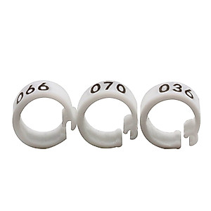 iherdsman 001-100 Multi-color Bird Leg Bands Numbered 8 mm Pigeon Parrot Chicks Leg Band Duck Clip Rings Bands (White)