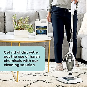 Steam & Go - Demineralized Water for Steam Cleaner, PVC-Free Floor Cleaner Liquid Compatible With Any Mop Steamer, Ready-to-Use Multisurface Cleaner, Scented Mop Solution, Eucalyptus Mint, 32 oz