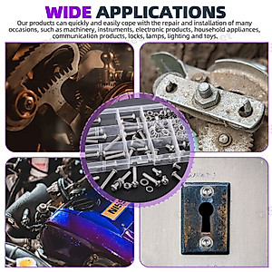 Swpeet 161Pcs M6 Metric 304 Stainless Steel Button Head Hex Socket Head Cap Bolts Screws Nuts and Hex Nuts with Flat Washers and Split Lock Washers Kit, Screws Nuts Washers Wrench All Included