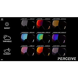 Anon Men's M3 Perceive Goggle with Spare Lens and MFI Face Mask