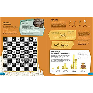 What's the Point of Math? (DK What's the Point of?)