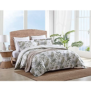 Tommy Bahama - Queen Comforter Set, Reversible Cotton Bedding with Matching Shams, Medium Weight Home Decor for All Seasons (Waimea Bay Green, Queen)