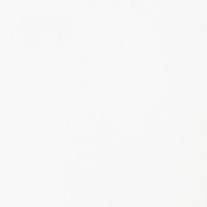 Liquitex BASICS Acrylic Paint, 118ml (4-oz) Tube, Titanium White