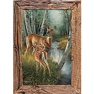HTL Card-Boxed-Birthday-Whitetail Deer (Box of 12)