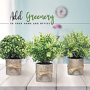 Farmhouse Decor for the Home, Farmhouse Bathroom Decorations - Modern Farmhouse Decorations for Farmhouse Bathroom or Farmhouse Table - Eucalyptus Plant Rustic Set of 3 Artificial Plants (GREEN)