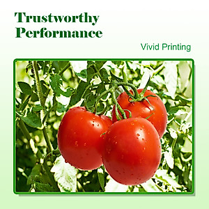 4-Pack Compatible HP 128A Black,Cyan, Magenta, Yellow Toner Cartridges Works with HP Pro Color CP1525n CP1525nw CM1415fnw CM1415fn Printer Ink