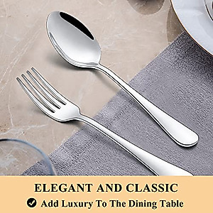 Wildone 20-Piece Silverware Set, Stainless Steel Flatware Cutlery Set Service for 4, Tableware Eating Utensils Include Knife/Fork/Spoon, Mirror Polished, Dishwasher Safe
