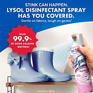 Lysol Disinfectant Spray, Sanitizing and Antibacterial Spray, For Disinfecting and Deodorizing, Early Morning Breeze, 19 Fl Oz, (Packaging May Vary)