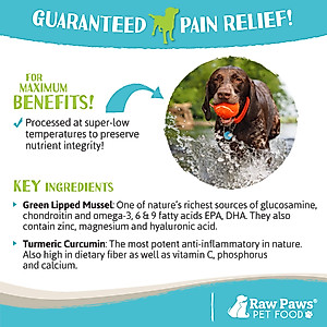 Raw Paws Green Lipped Mussel Hip and Joint Supplement for Dogs & Cats, 10-oz Powder - Green Lipped Mussels for Dogs - Natural Chondroitin Glucosamine for Dogs & Cats - Dog Joint Pain Relief for Dogs