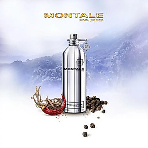 MONTALE Wood and Spices Eau de Parfum Spray, 3.3 Fl Oz