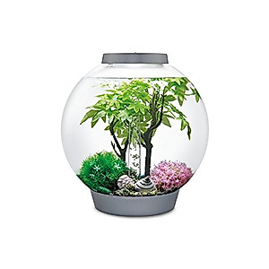 biOrb Decor Set 30L Summer Medium