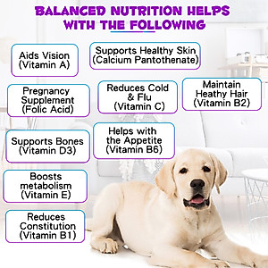 Dog Multivitamin - 15 in 1 Multivitamin Drops for Dogs, Dog Vitamins with Glucosamine Cranberry Supports Joint & Digestion, Skin & Coat, Pets Supplements for Dogs of All Ages, Bacon Flavor - 2 Fl Oz