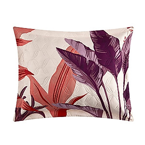 New York & Company Trident 3 Piece Quilt Set Contemporary Large Scale Floral Print Design Bedding - Pillow Shams Included, Queen, Pink