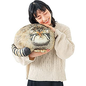 WEERSHUN Cat Plush Body Pillow, Fox Plush Pillow, Raccoon Plush Pillow, Soft and Comfortable Stuffed Animal Plush Pillow for All Ages, Great Gift Option for Boys Girls and Friends (Cat-45/18in)