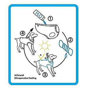 ALL FOR PAWS Cooling Vest Dog Cooling Shirts Breathable Instant Cooling Dogs Vest Lightweight for Summer Dog Clothes (M)