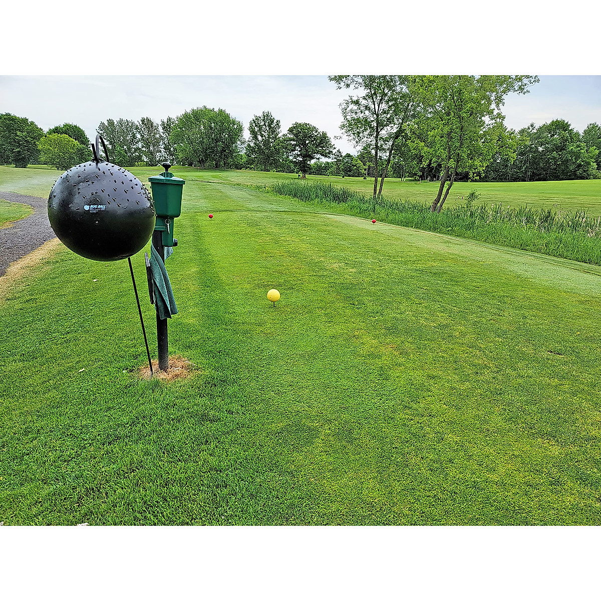 Bug Ball Starter Kit, 3 Pack - Yellow Fly, Horse Fly, Deer Fly, and Greenhead Fly Trap