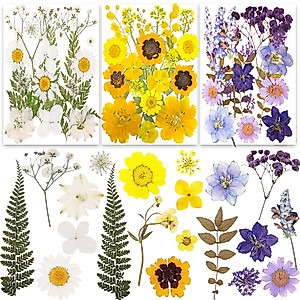 OECOO 285PCS Small Dried Pressed Butterfly Sticker Flower for Resin,Real Nature Pressing Floral Leaves for DIY Craft, Mold, Jewelry Making, Candle Scrapbooking Supplies