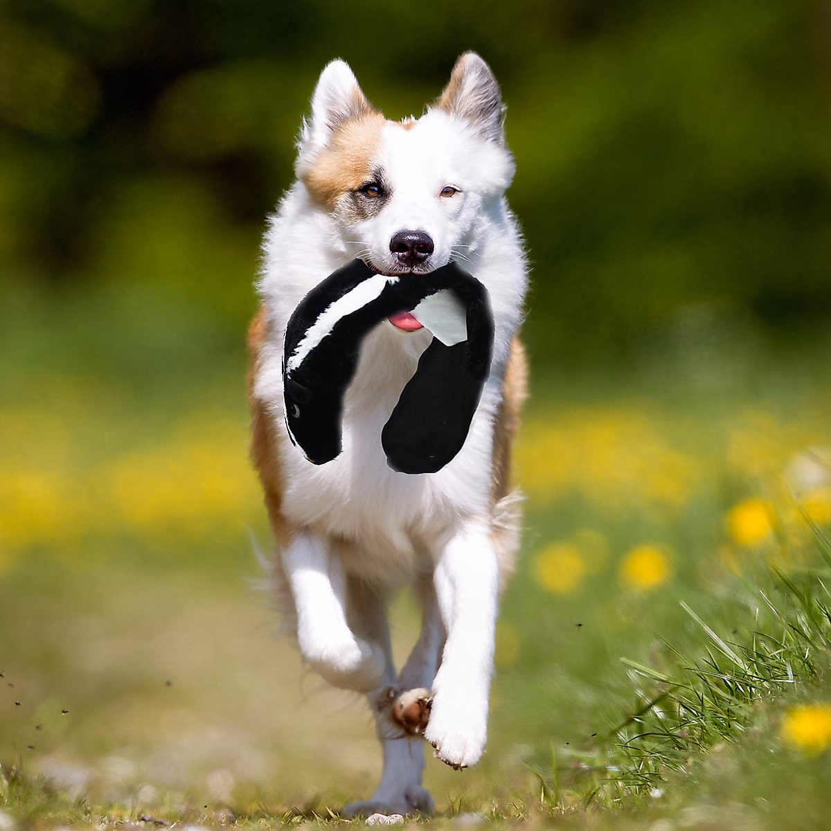 Large Dog Toys Set of 3 Plush Stuffingless Animals 24 Inches - Skunk/Wolf Squeaky Toys - Duck Squeaky w/ Crinkle Body and Rope for Tug. Rubber Ball for Aggressive Chewers Medium/Large Dogs + Carry Bag