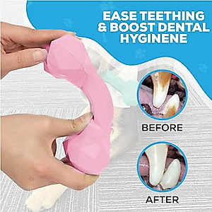 House of Puppies Dog Toys for Aggressive Chewers with Durable Natural Rubber - for Teething and Dental Care (Medium, Pink)