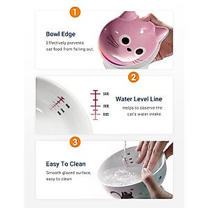 AISBUGUR Ceramic Cat Bowls Set of 2, Elevated 15 Tilted Design for Indoor Cats, Large Capacity, Easy to Clean, Non-Slip Base, Cute Pattern,Pink