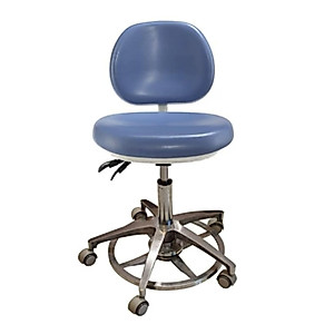 Dental Assistant Chair Medical Chair Ergonomic Seating Back Support Dentist Stool for Clinics, Dental Offices, Labs, Manicure Store,L