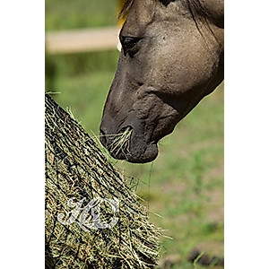 hay chix Slow Feed Hay Net for [Horse and Livestock Health, hay Feeder, hay net, Slow Feed hay net] Save Your time, hay and Money! Half Bale Net (1 3/4" Original)