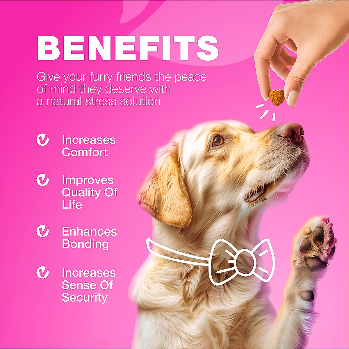 Dog UTI Treatment - Dog Cranberry Supplement for Urinary Tract, Bladder & Kidney Health, Incontinence Support - Bladder Control Cranberry Chews - Cranberry Supplement for Dog Incontinence