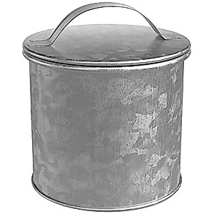 Amici Home Newport Galvanized Metal Canister | Dry Food Storage Container | Airtight Lid | 30 Ounce Capacity | Farmhouse Décor | Rustic Metal Canister for Kitchen Countertop (Silver)