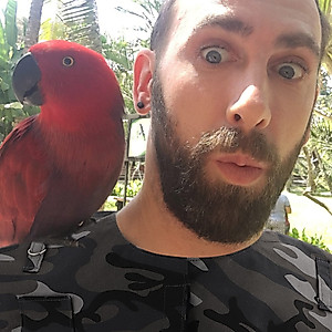 balacoo Pet Shoulder Pad Diaper Shawl: Bird Clothing Protector Parrot Diapers Practical Shoulder Protector Diaper Shawl Shoulder Pad Parakeets Cockatiels Conures