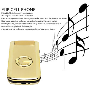 Diydeg Cell Phone for Seniors, 2.4in Wide Screen Large and Convex 3 Dimensional Keys Flip Phone Built in Super Loud Dual Magnetic Loudspeaker, HD Voice Flipphone for Senior Easy Use