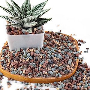2.4lb Mix Horticultural Lava Rock Pebbles Pumice Potting Soil Amendment Succulent Cactus Bonsai Gritty Rock Decorative Gravel Plant Drainage Volcanic Rock for Aquarium Fairy Gardening Top Dressing
