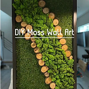 Prefleur Preserved Reindeer Craft Moss Natural Green DIY Kit Gardenning Art Wall Florist Easter Table Wedding(0.85lb)(Green-05)