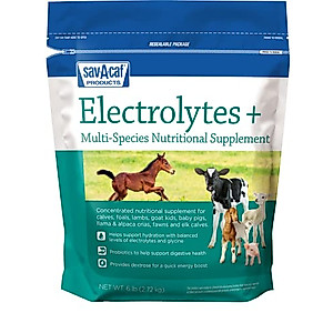 Milk & Co. 633132 Electrolytes Plus Multi-Species Supplement, 6 lb