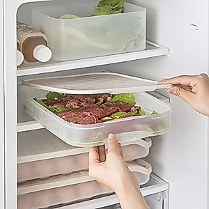 Poeland Food Storage Containers Dumpling Organizer Transparent Food Storage Box for Kitchen and Fridge