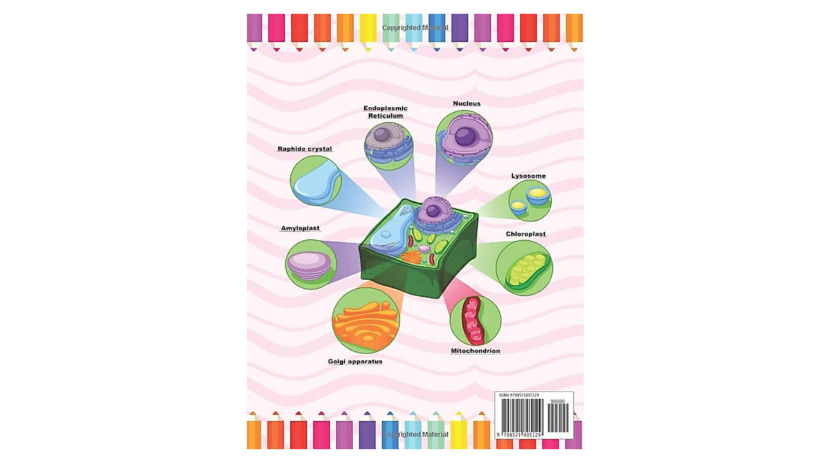 Master Plant Cell Anatomy with Our Fun Coloring Book